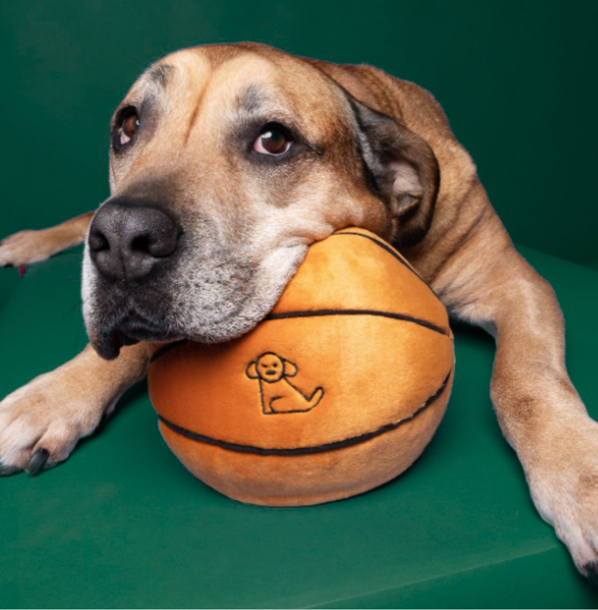 Basketball – Muttley & Me