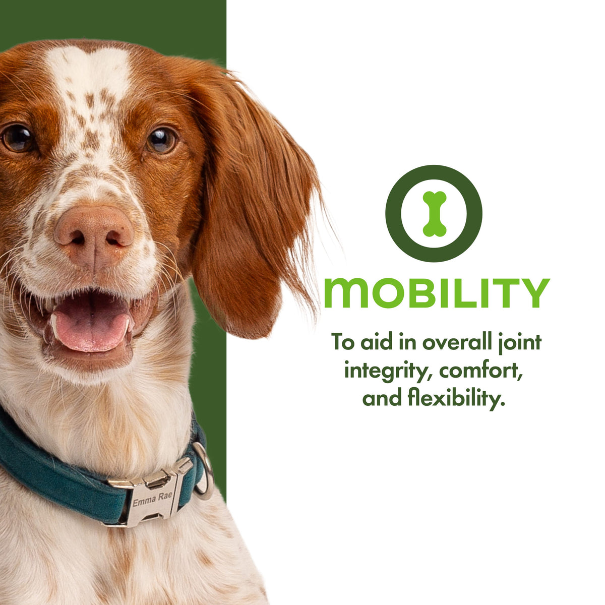 Fromm Nutritionals – Muttley & Me