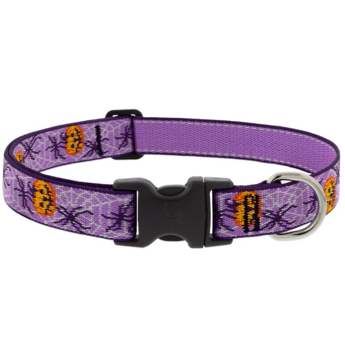 Trick or Treat Collar – Muttley & Me