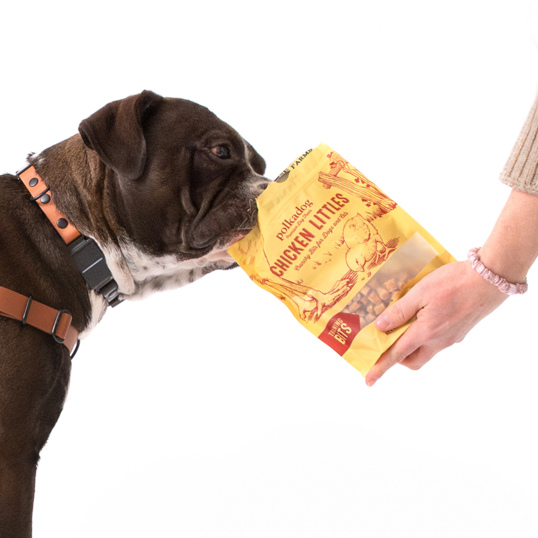 Chicken Littles – Muttley & Me