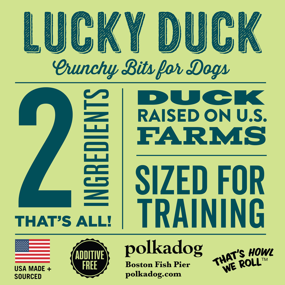 Lucky Duck – Muttley & Me