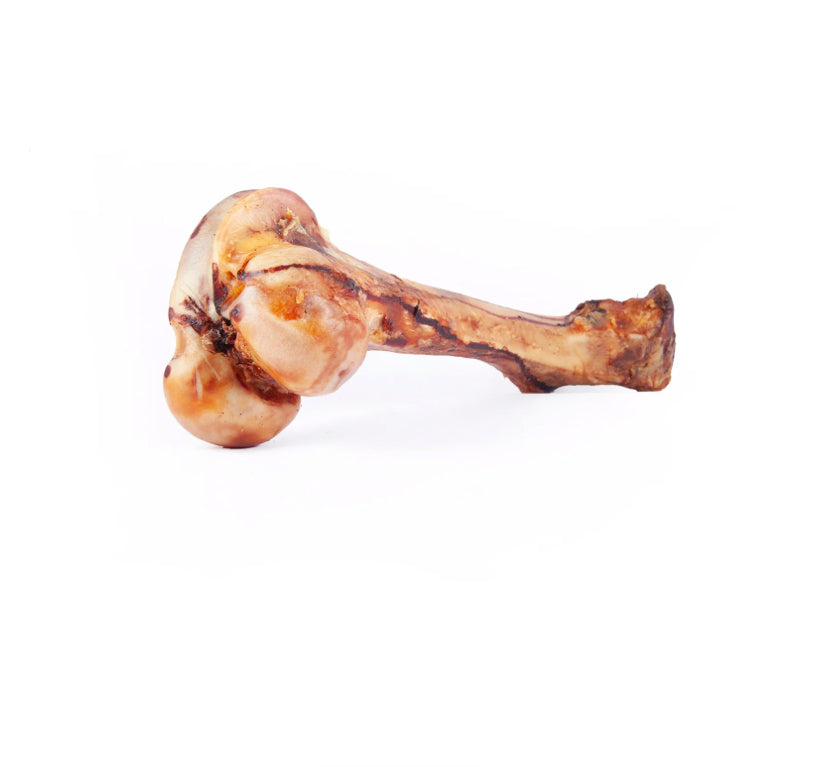 Monster Beef Femur – Muttley & Me