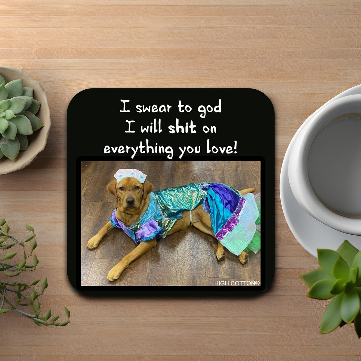 I Swear To God – Muttley & Me
