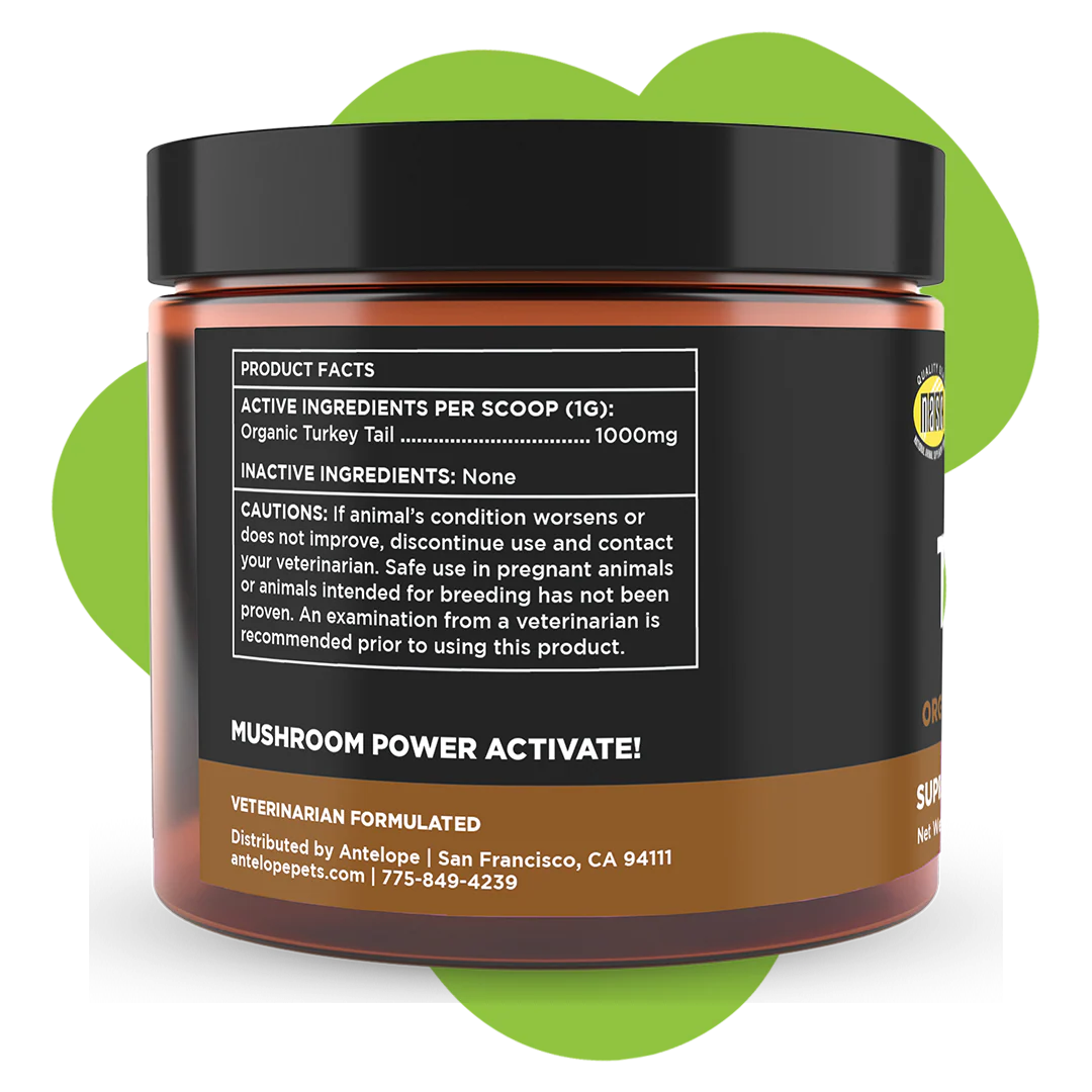 Turkey Tail Health Supplement – Muttley & Me