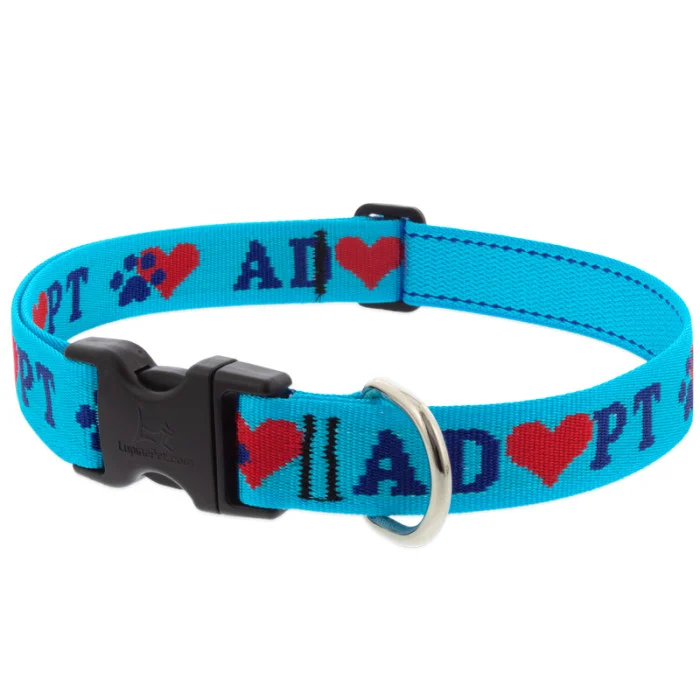 Adopt Collar – Muttley & Me