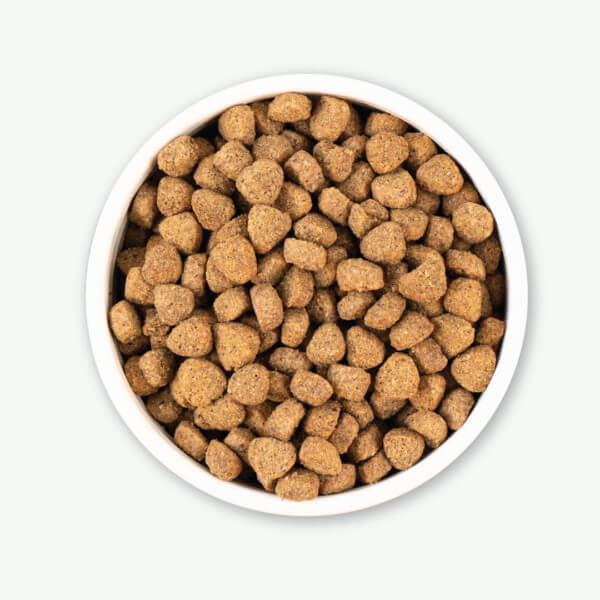 Roasted Rabbit Recipe – Muttley & Me