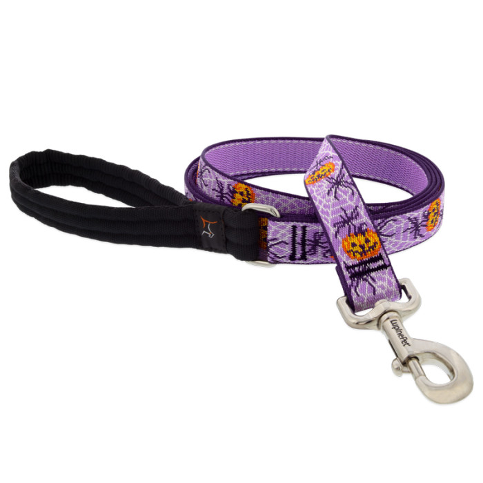 Trick or Treat Leash – Muttley & Me