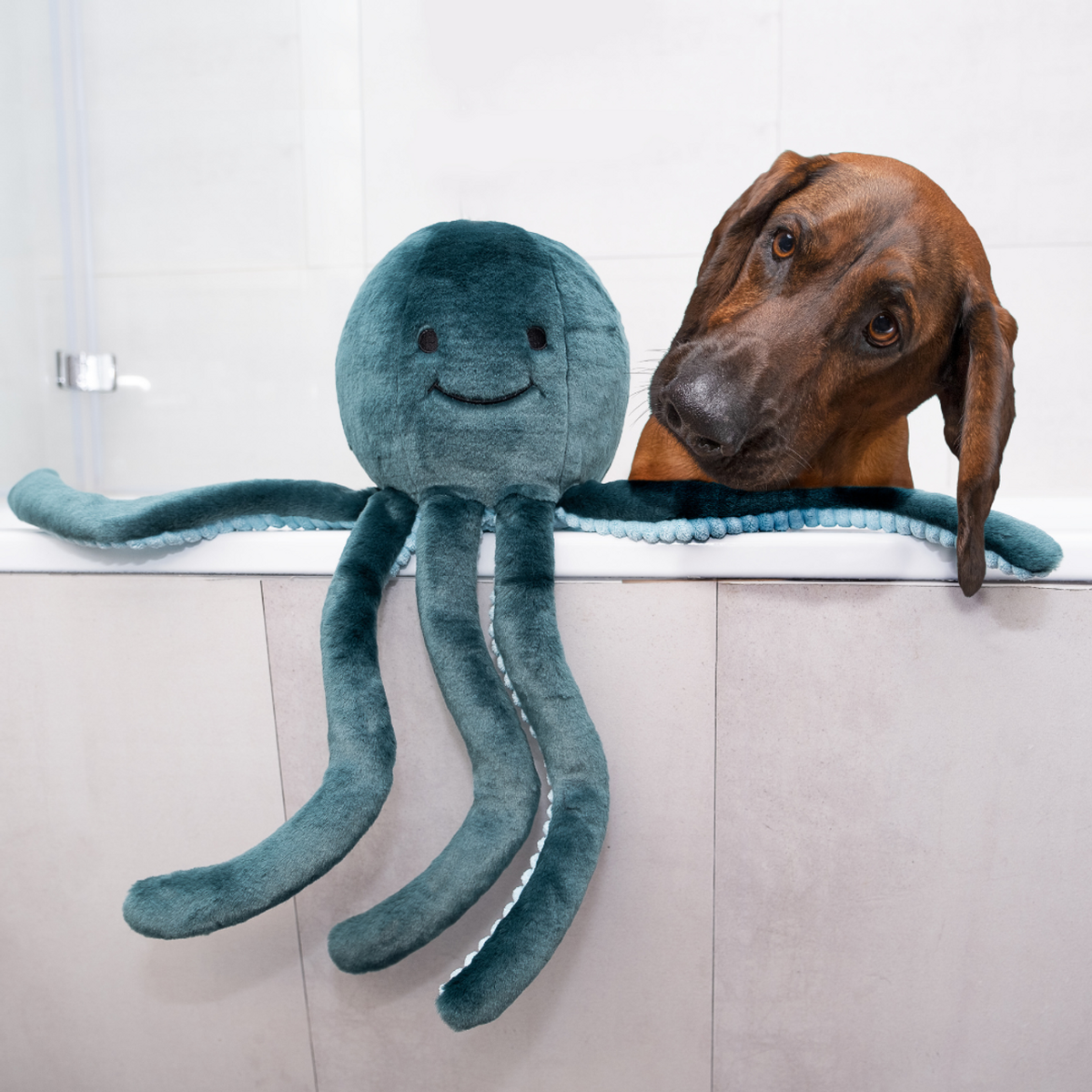 Stevie Octopus – Muttley & Me