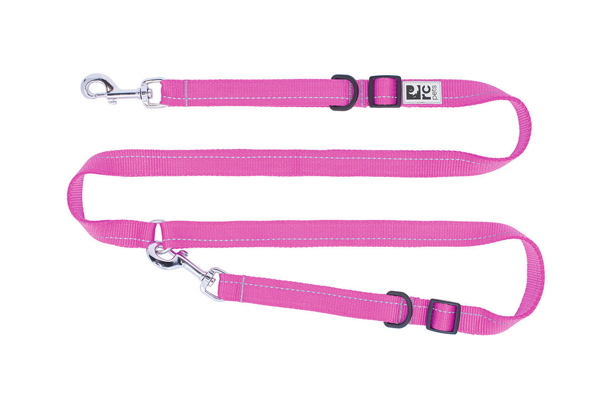 Primary Active Leash – Muttley & Me