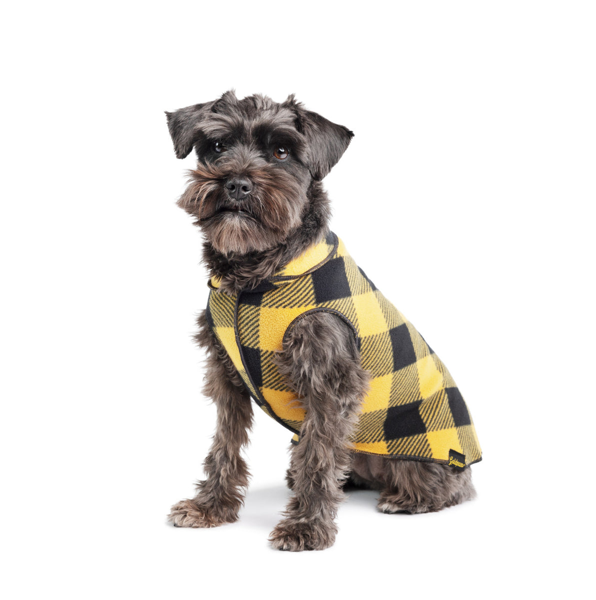 Gold Paw Fleece – Muttley & Me